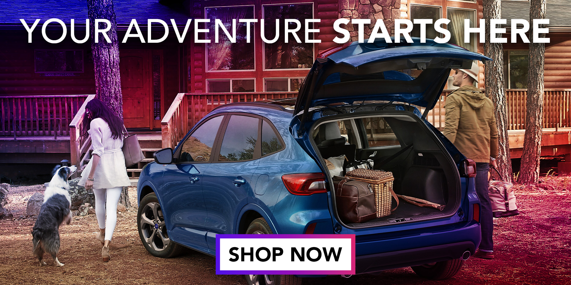 Blake Ford Blog - Blake Ford Blog | News, Updates, and Info